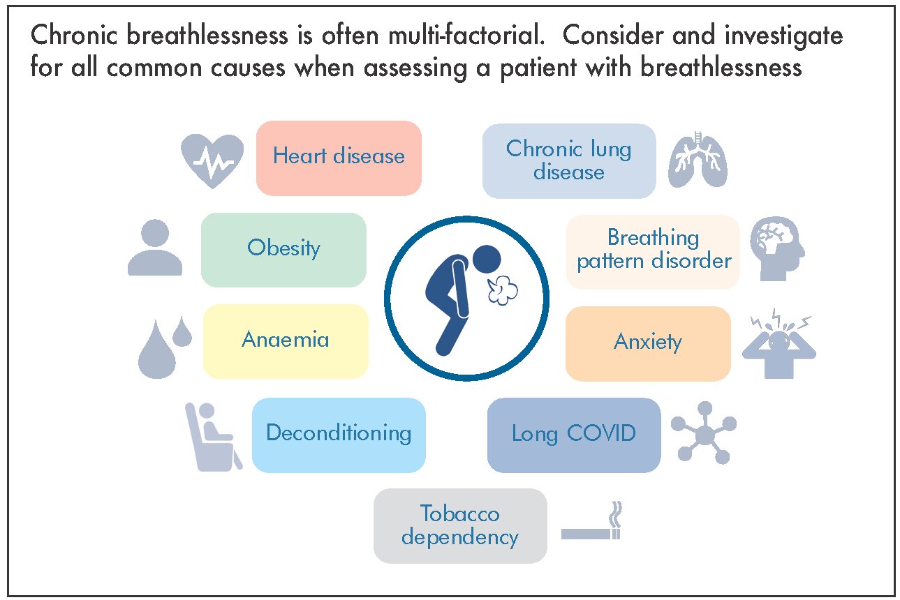Desktop Helper No.17 - Breathlessness in adults: A practical guide for ...